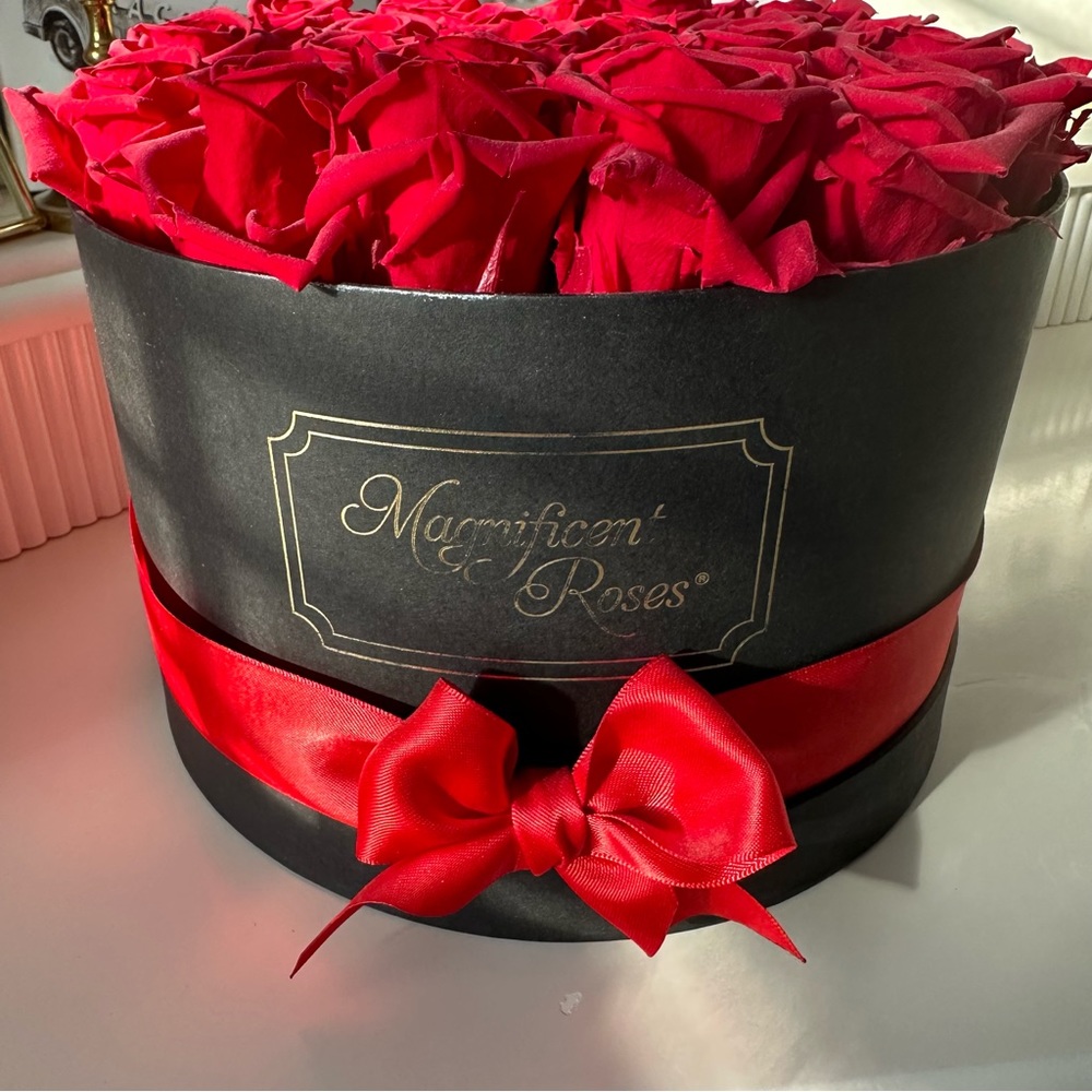 Magnificent Roses - 2 Dozen Preserved Red Roses - Gem